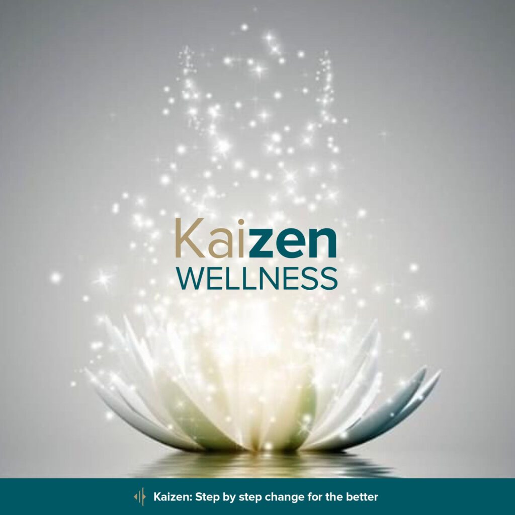 Kai-zen Global - Kai-zen: Change for Good